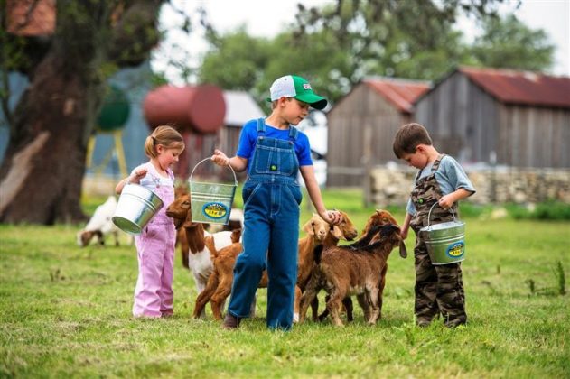 From Farm to Family: 7 Things to Consider - Pioneerthinking.com