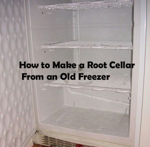 How to Make a Root Cellar from an Old Freezer - Pioneerthinking.com