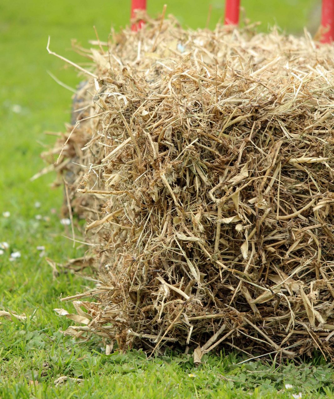 Building Your No-Dig Garden Bed - Pioneerthinking.com