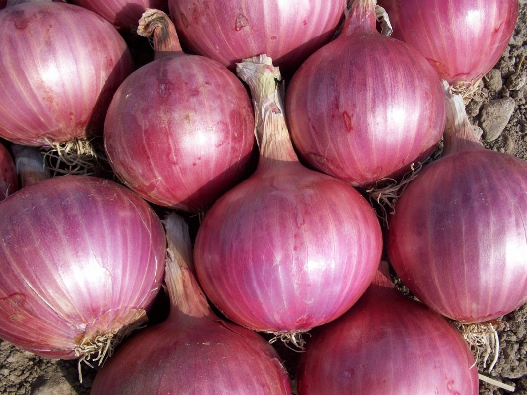 The Many Health Benefits of Red Onion - Pioneerthinking.com