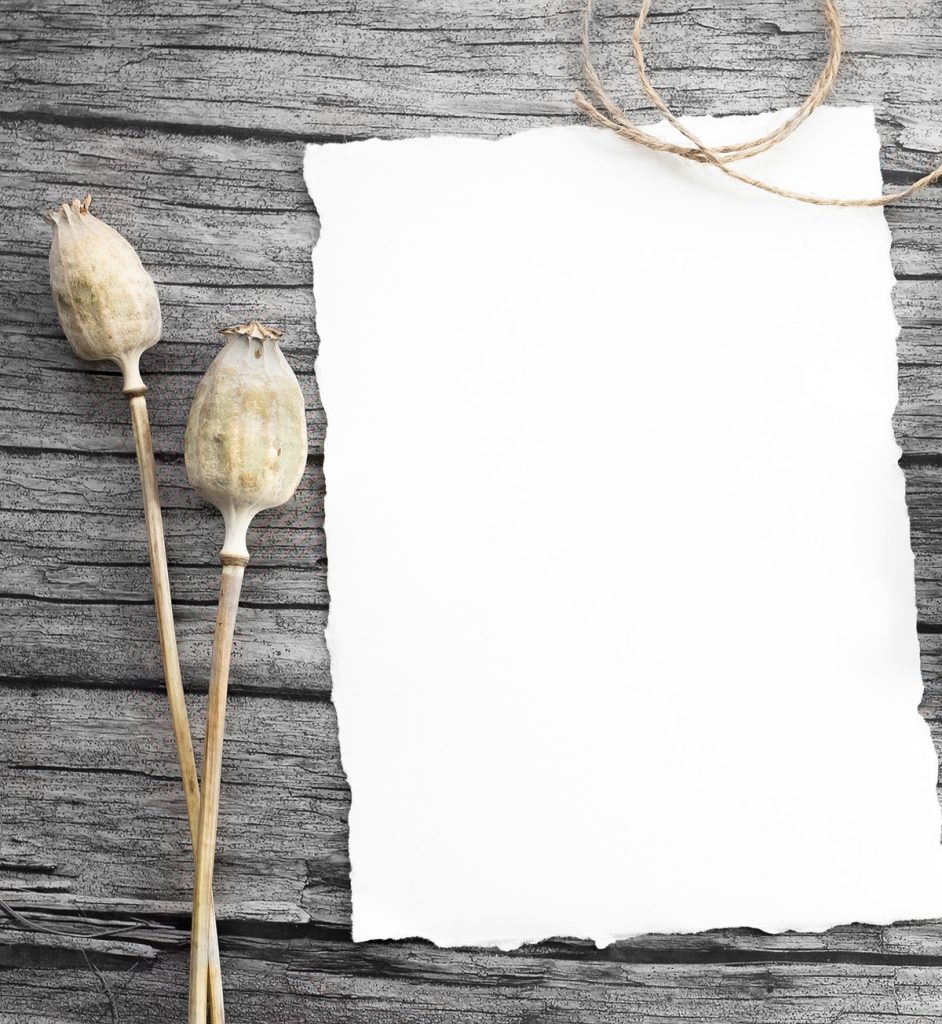 A Brief History of Paper - Pioneerthinking.com