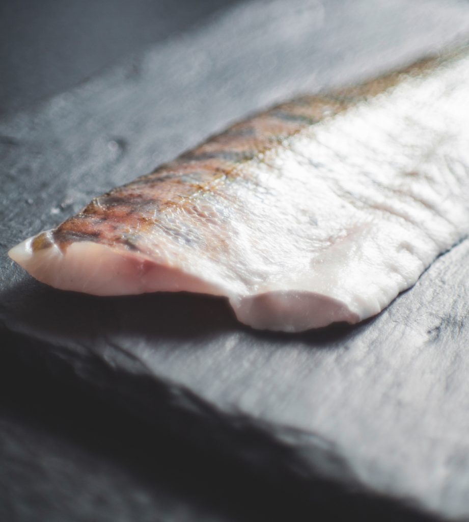 Freezing Fish - Pioneerthinking.com