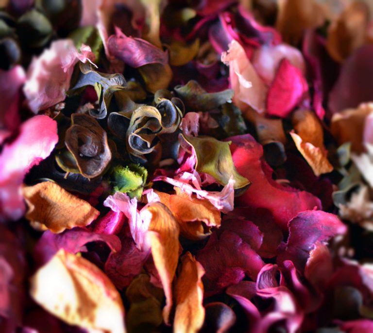How to Make Potpourri - Instructions and Recipes - Pioneerthinking.com