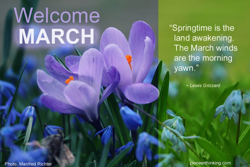 Pioneerthinking.com - Ingredients for a Simple Life