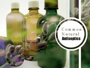 Common Natural Antiseptics - Pioneerthinking.com