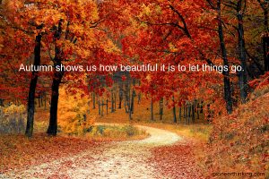 Autumn Shows Us - Pioneerthinking.com