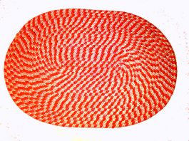 How to Clean Braided Rugs - Pioneerthinking.com