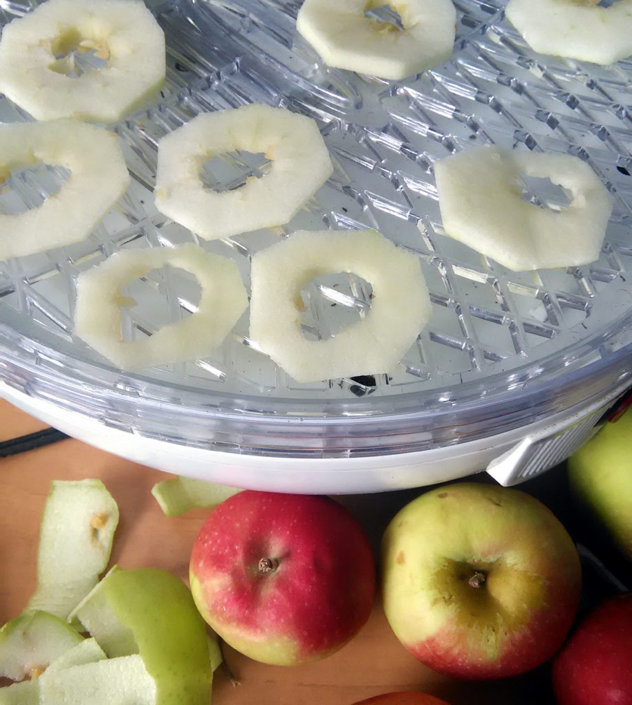 How to Make Dried Apple Rings - Pioneerthinking.com