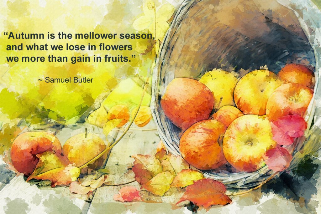 Autumn Shows Us - Pioneerthinking.com