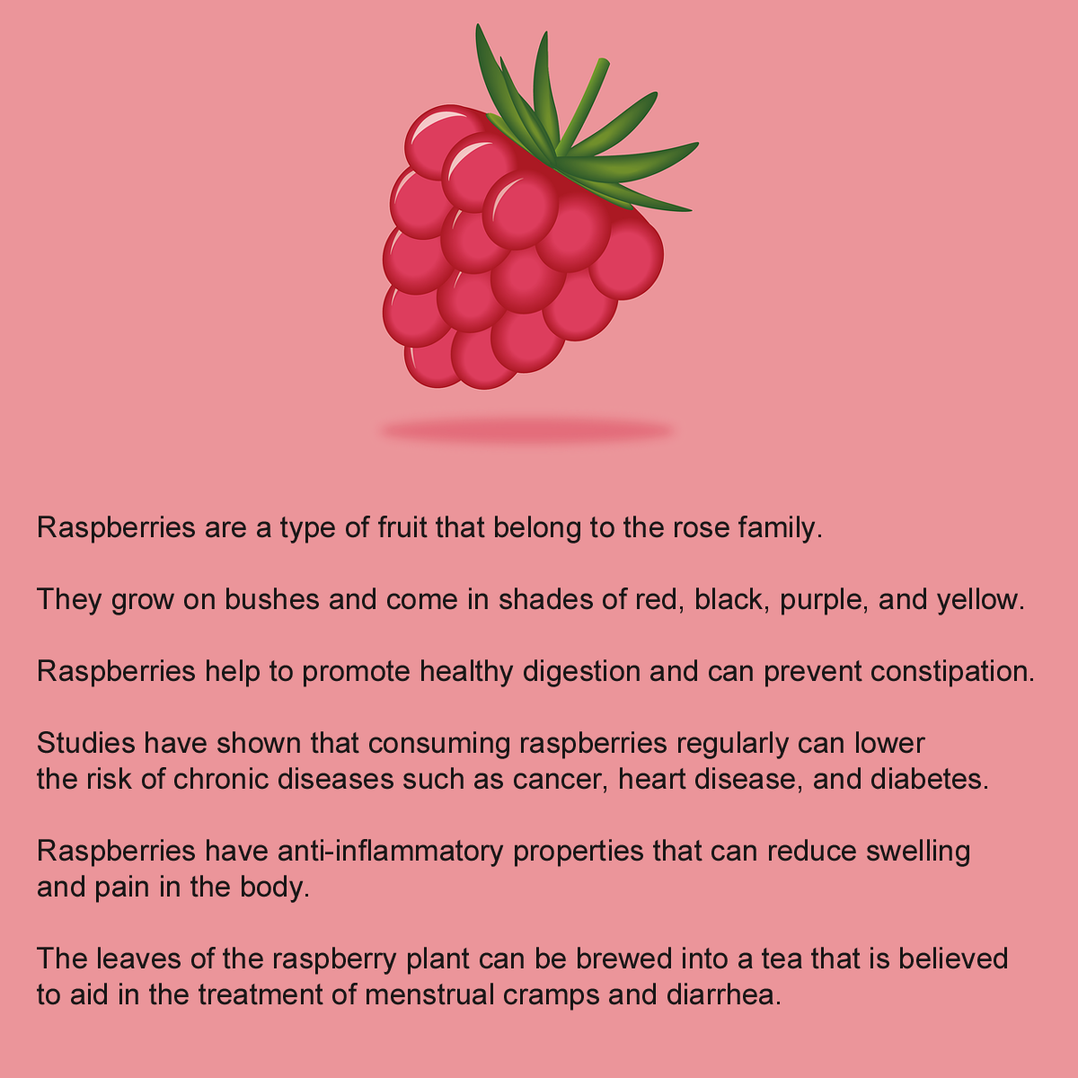 History of Raspberry Plants - Pioneerthinking.com