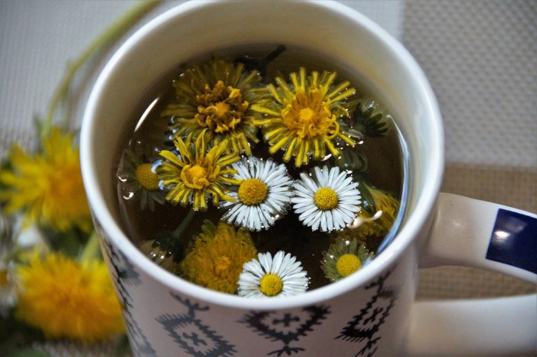 Cleansing Liver Herbal Teas - Pioneerthinking.com